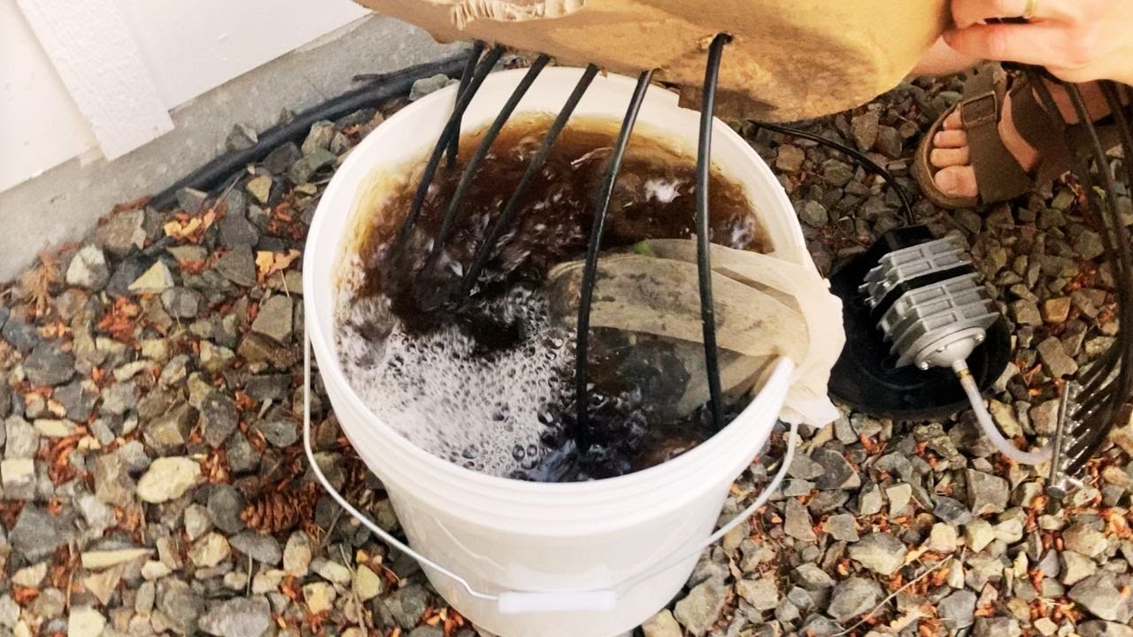 How to Make Aerated Worm Tea - YouTube