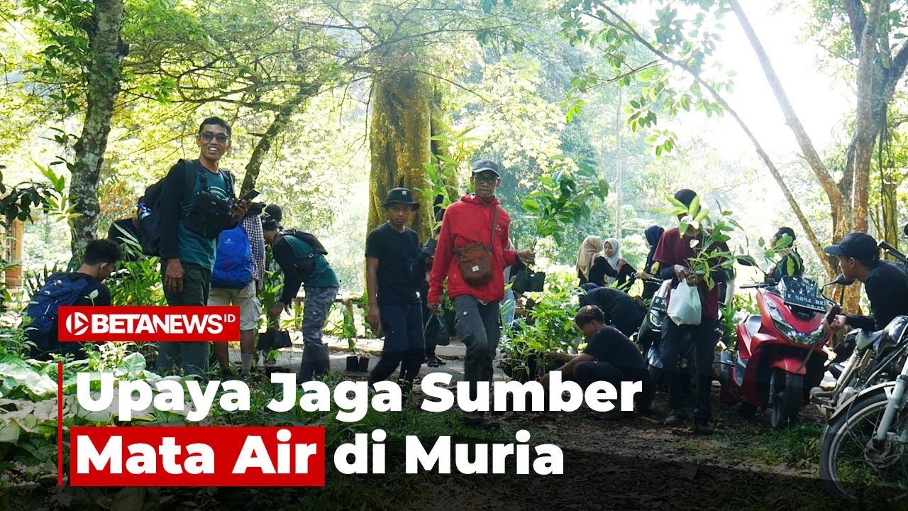 Komunitas Peka Kudus Tanam Bibit Pohon di Lereng Muria - YouTube