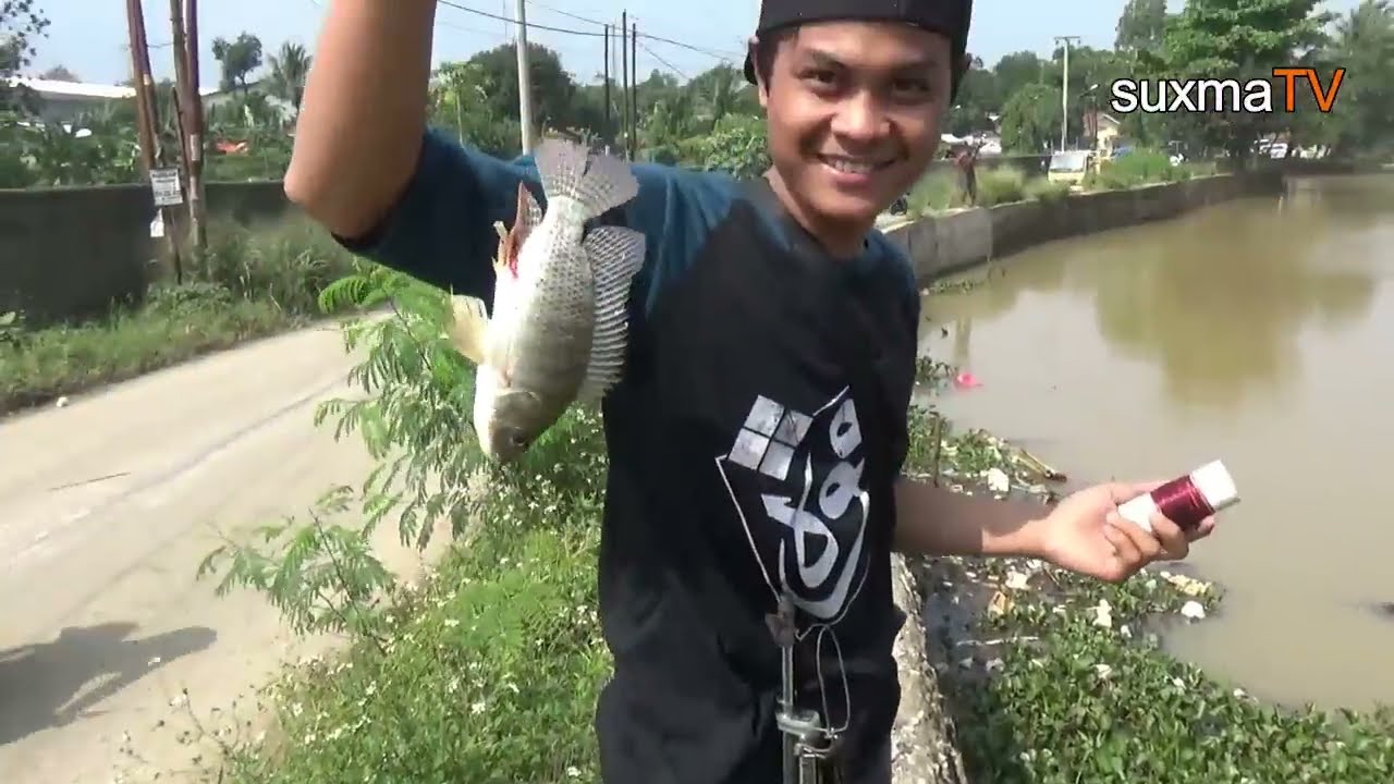 MANCING MANIAK: BEGINI PELURU UNTUK BERBURU IKAN DENGAN SENAPAN ANGIN ...
