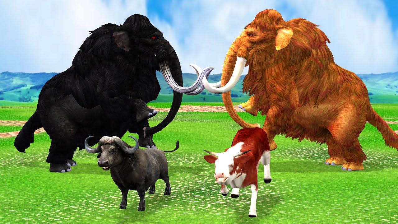 White Mammoth vs Black Mammoth Attacks Cow Cartoon Saved By Woolly ...