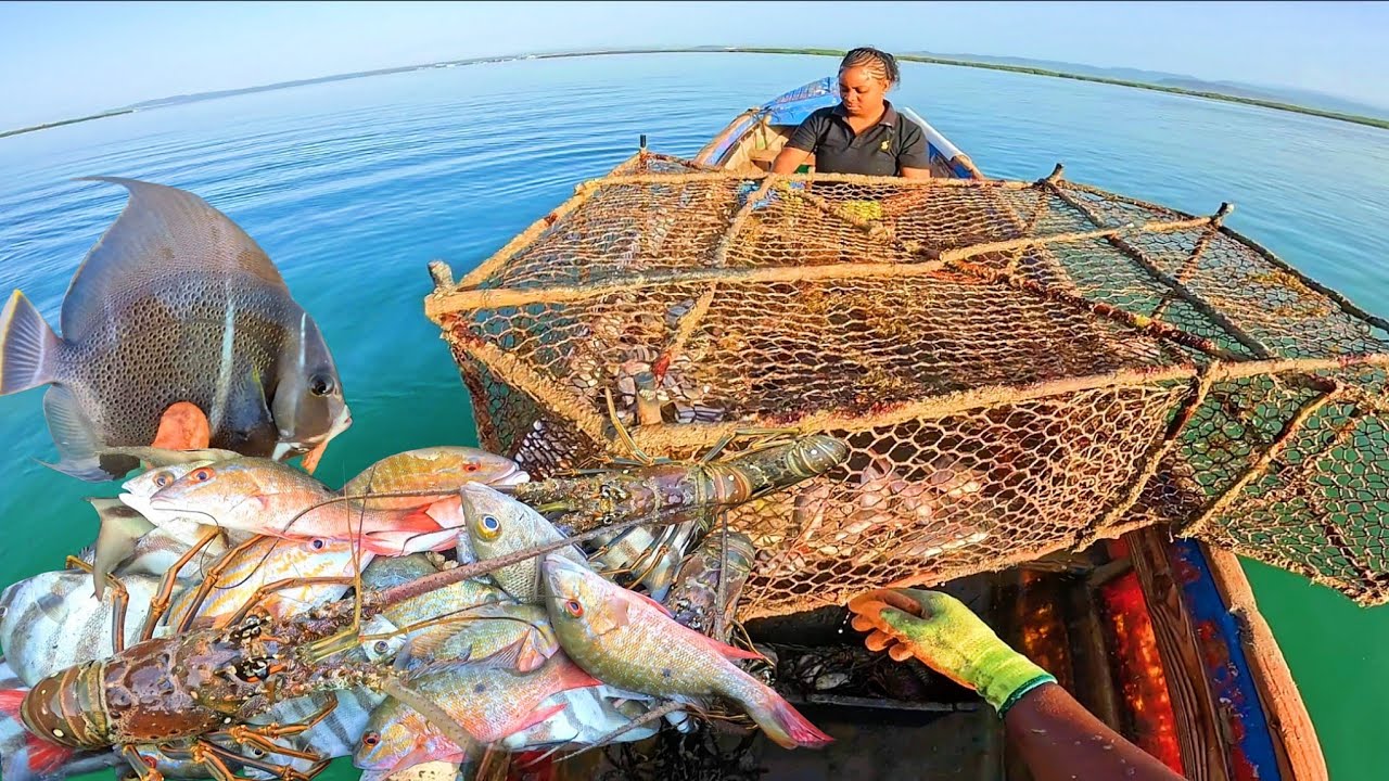 TRAPPING LOBSTERS & SNAPPERS USING Z TRAPS‼️EPIC ADVENTURE‼️ - YouTube