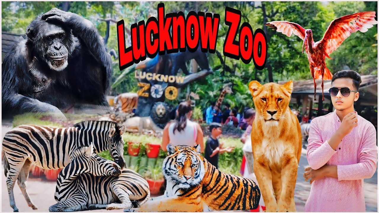 Lucknow Zoo | लखनऊ चिड़ियाघर | Lucknow Zoo Ticket Price 2024 All Aimals ...