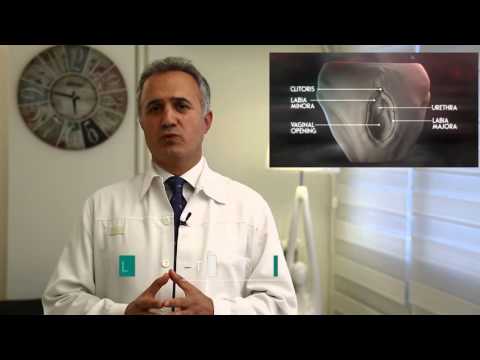 Op. Dr. Sadullah Karun - Genital Bölge Estetigi