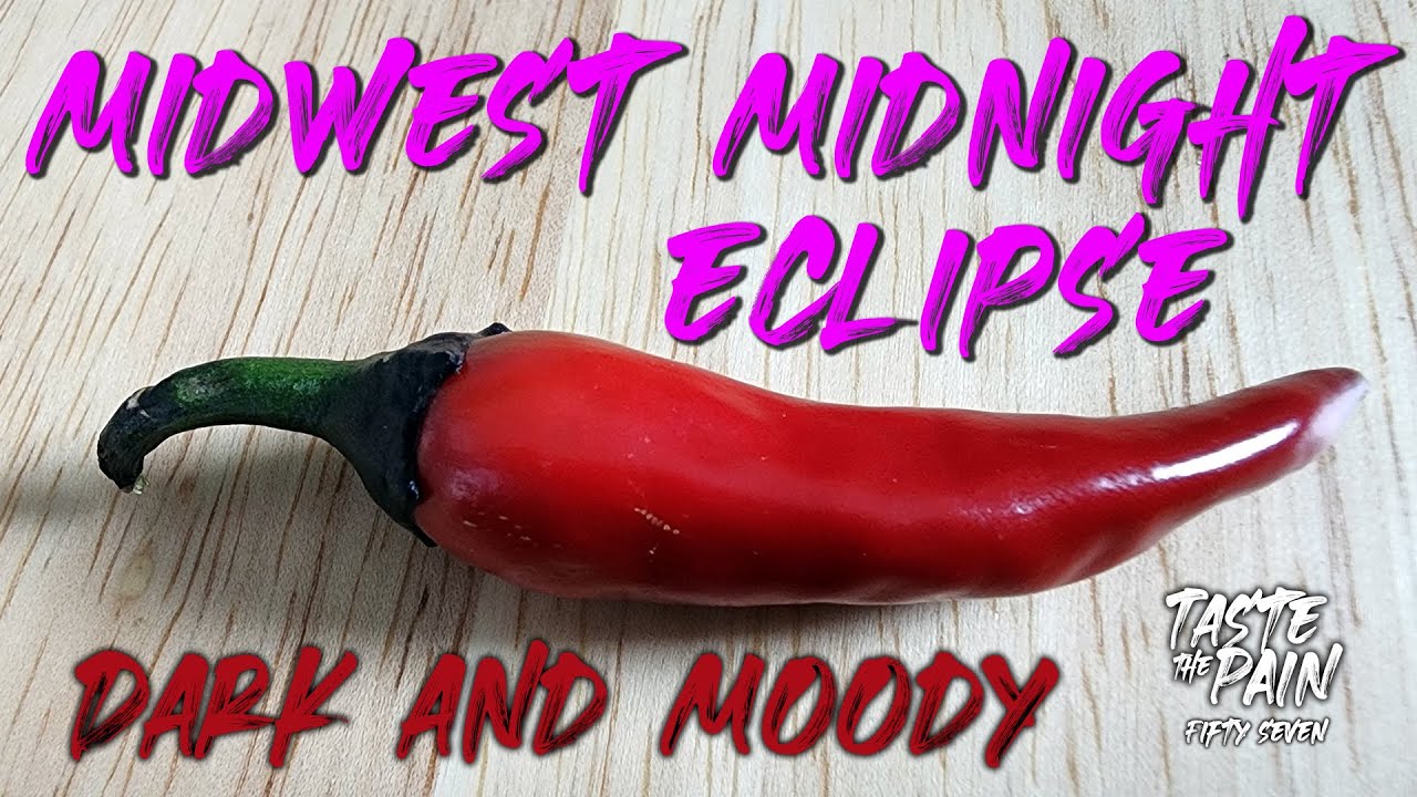 Dark and Moody - Midwest Midnight Eclipse - YouTube