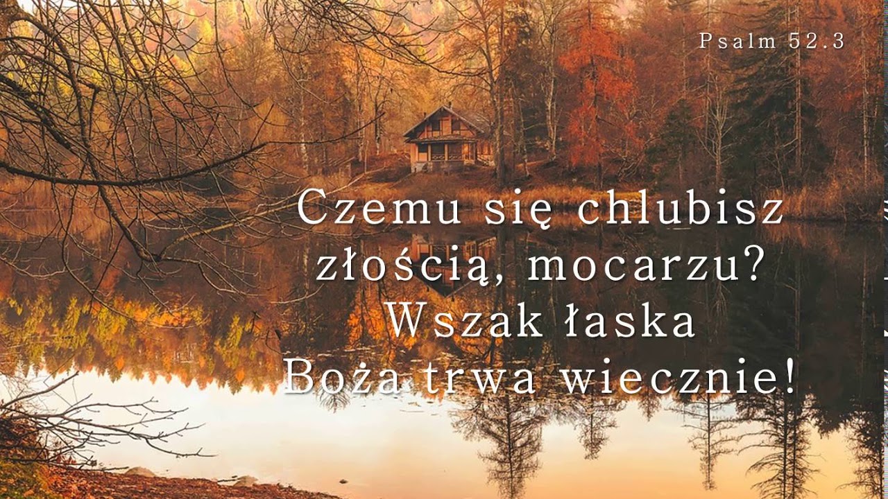 Audycja Wyzwolony Sandy Schroeder - YouTube
