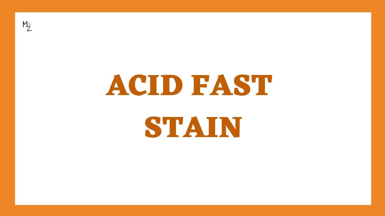 Acid Fast Staining and Acid Fast Organisms - YouTube