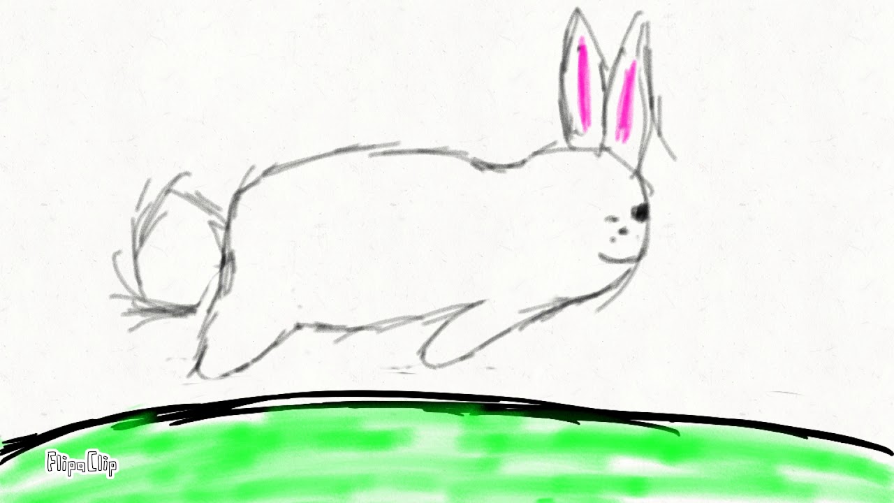 Bunny hopping (Animation) - YouTube