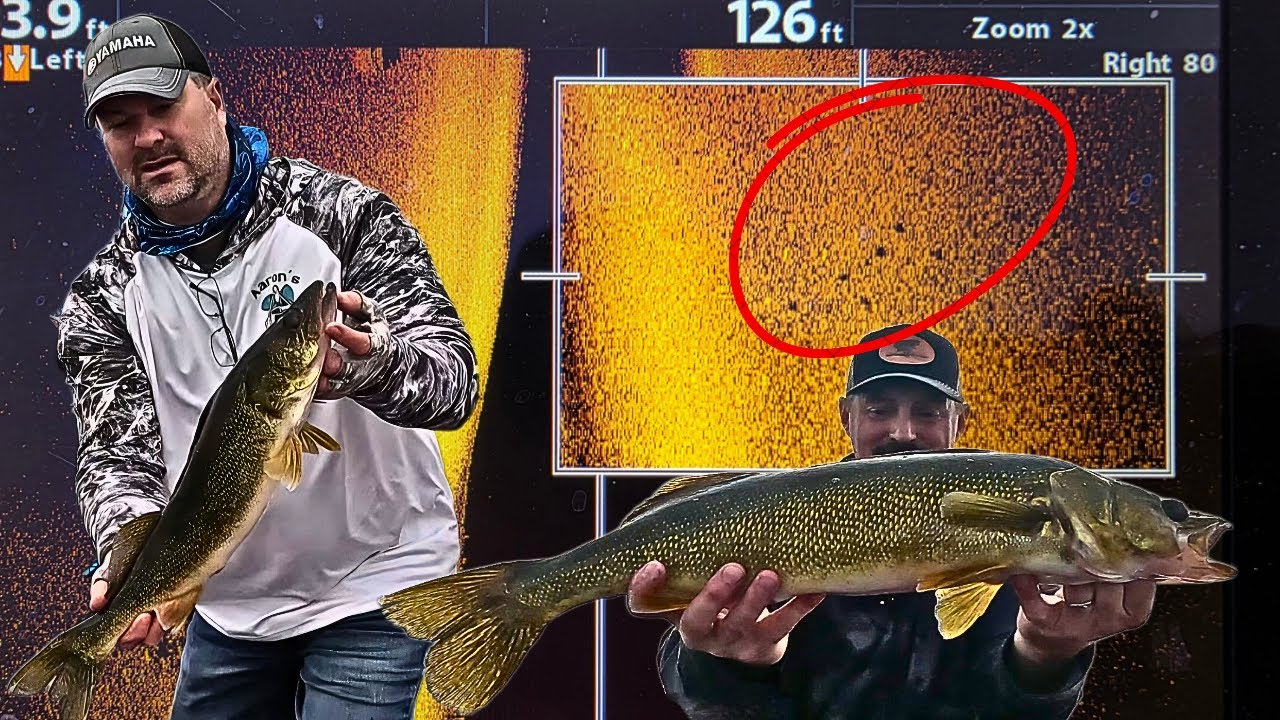 Hunting Summertime WALLEYES - YouTube