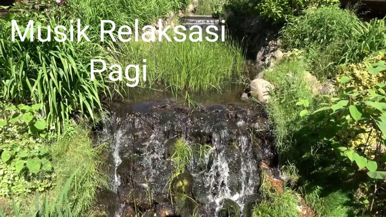 Musik relaksasi suara burung pembangkit semangat di Pagi hari - YouTube