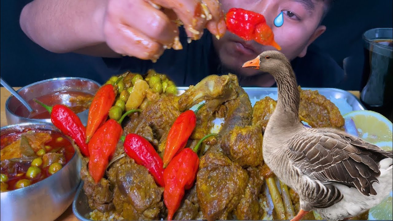 SPICY 🦆 GOOSE CURRY & 3 KING CHILLI 🌶️🌶️🌶️ || NORTHEAST INDIA MUKBANG 😋 ...