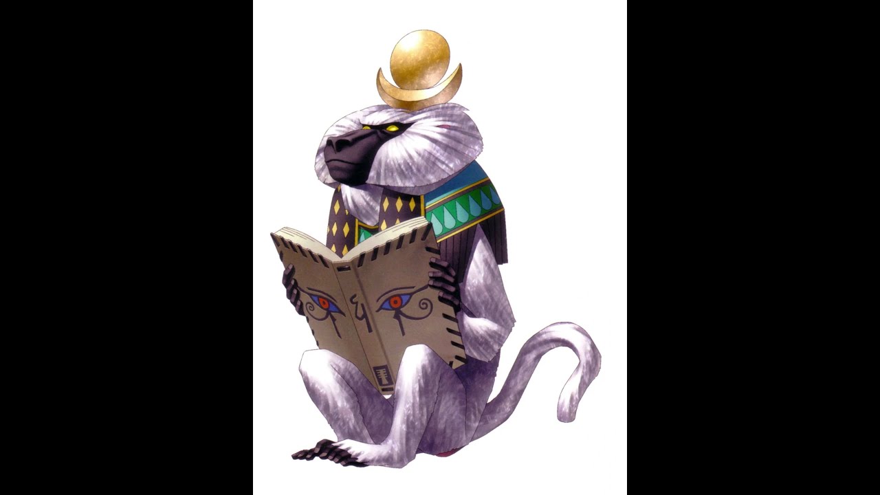 thanks elliot for making me put all the monkey jokes into one video ...