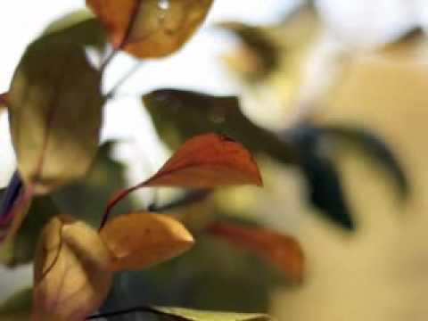 CC Catch - Megamix '98