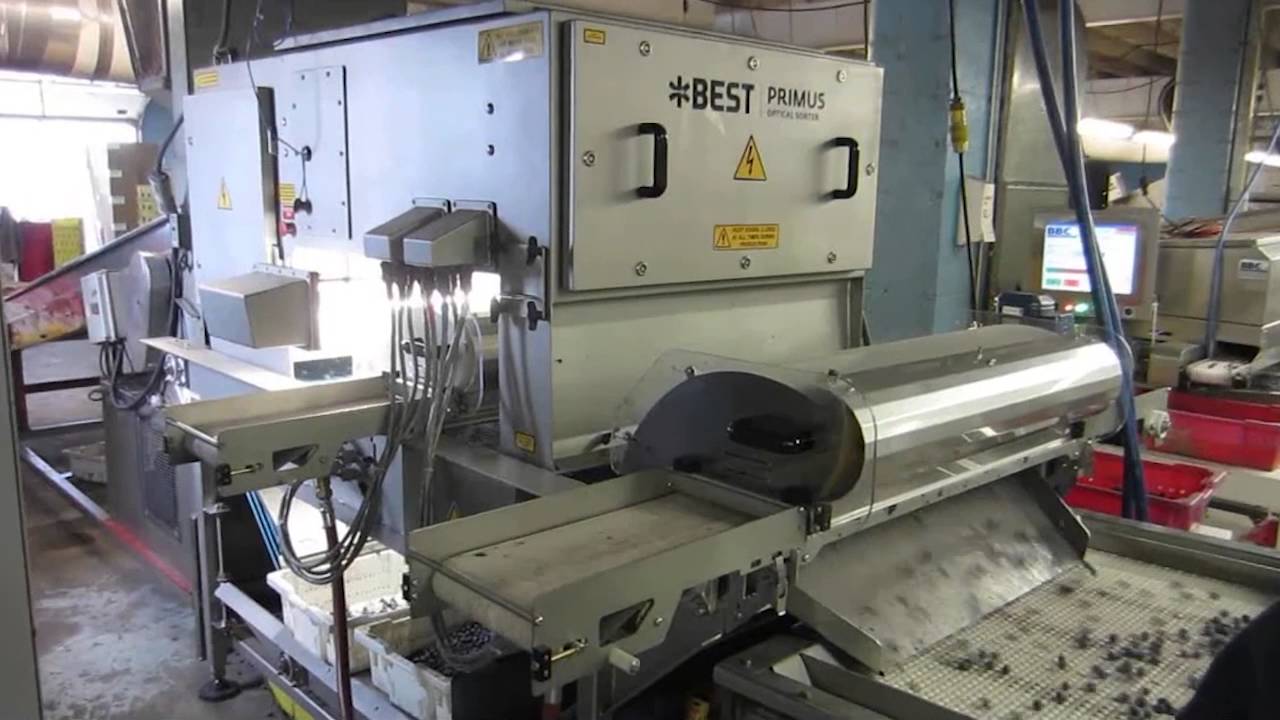 Blueberry sorting machine Primus - TOMRA Sorting - YouTube