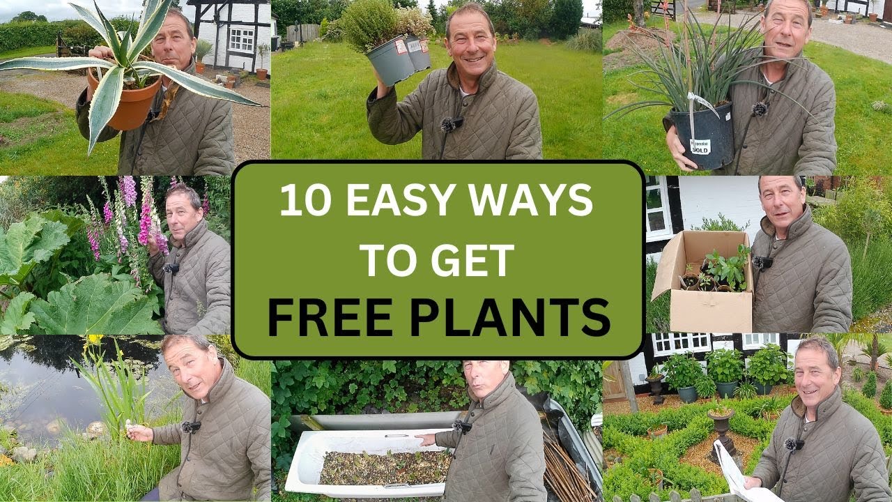 How to get FREE PLANTS for your garden. (10 top tips) - YouTube