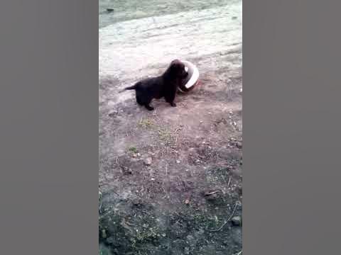 Попробуй отбери - YouTube