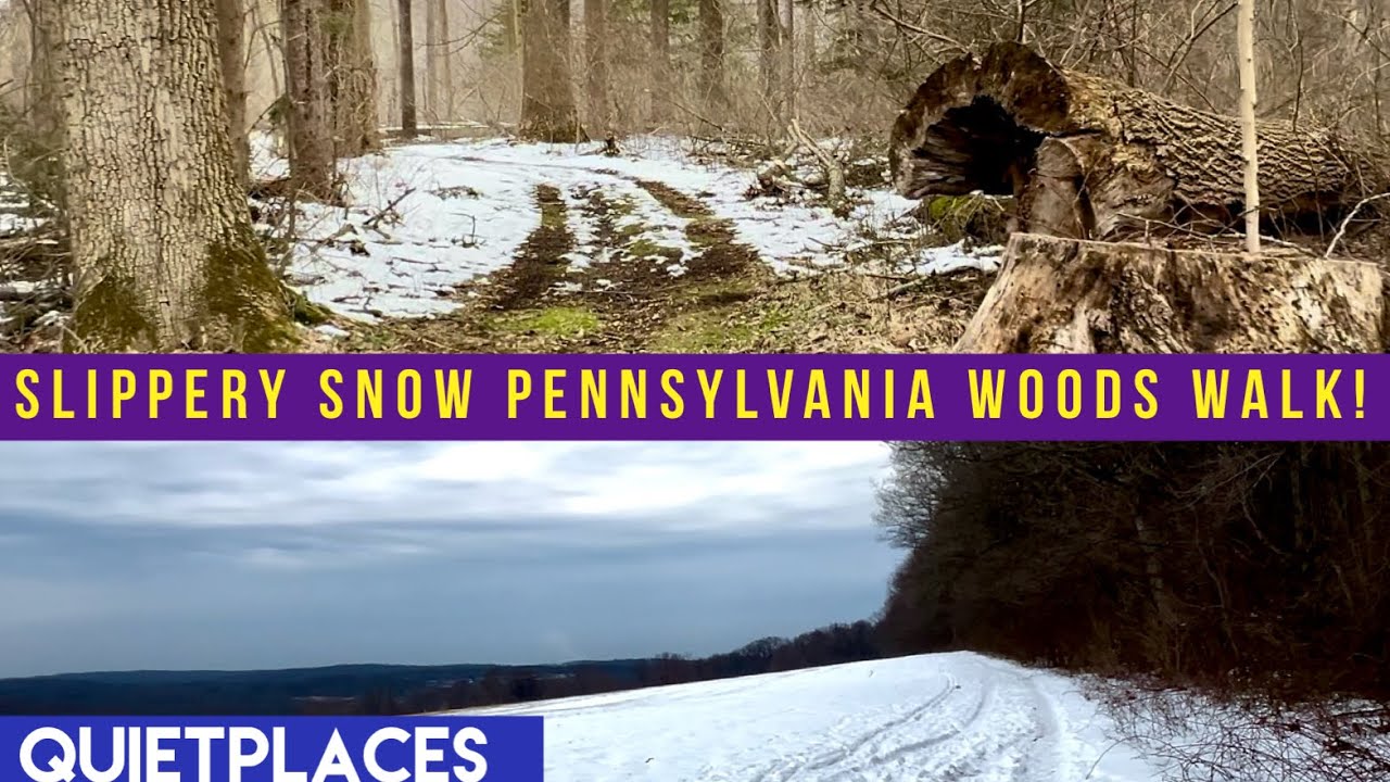 Chester County Pennsylvania Winter Woods Walk! A Snowy, Slippery Hike ...