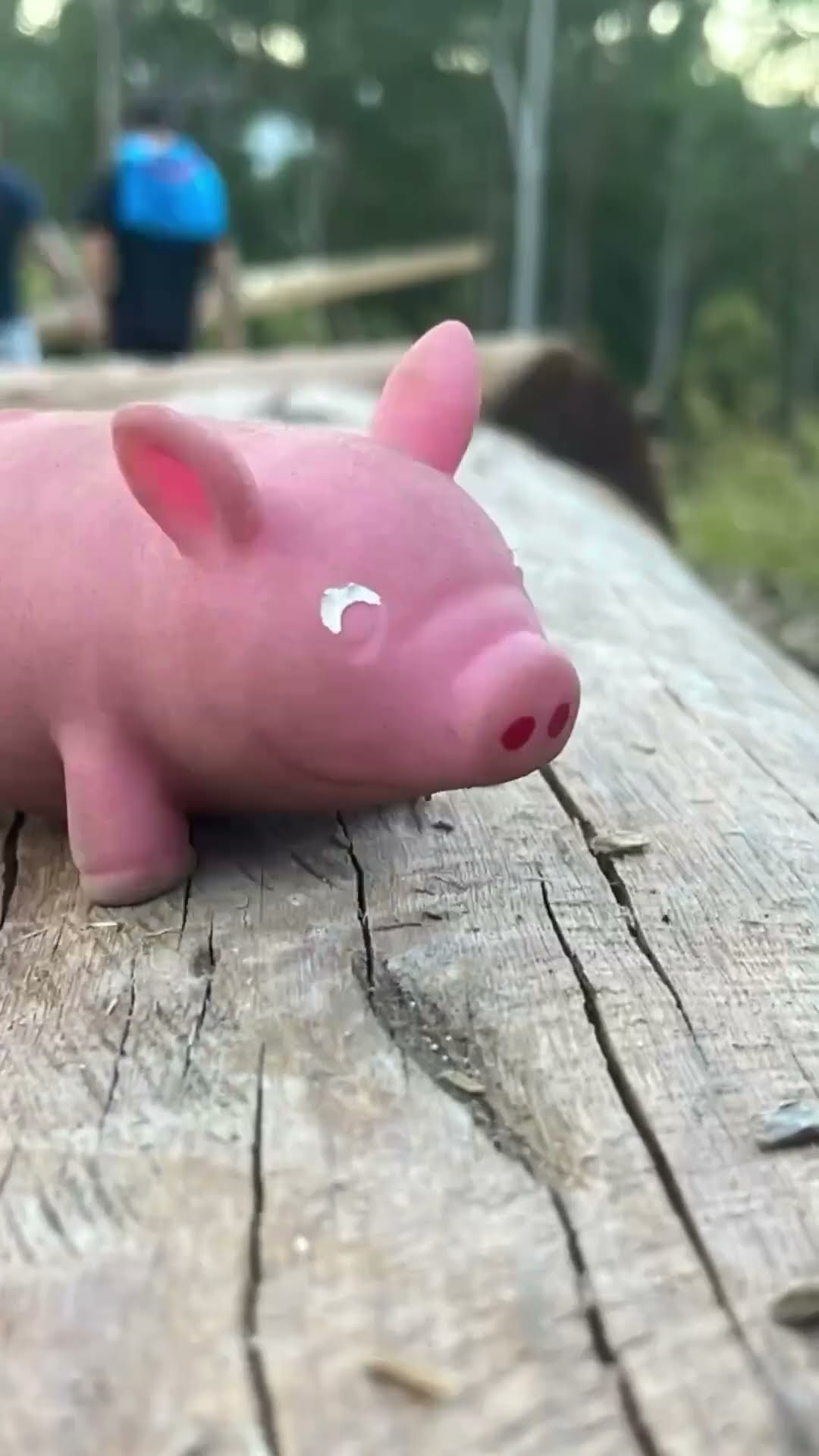 Maxwell de pig #memes #pig - YouTube