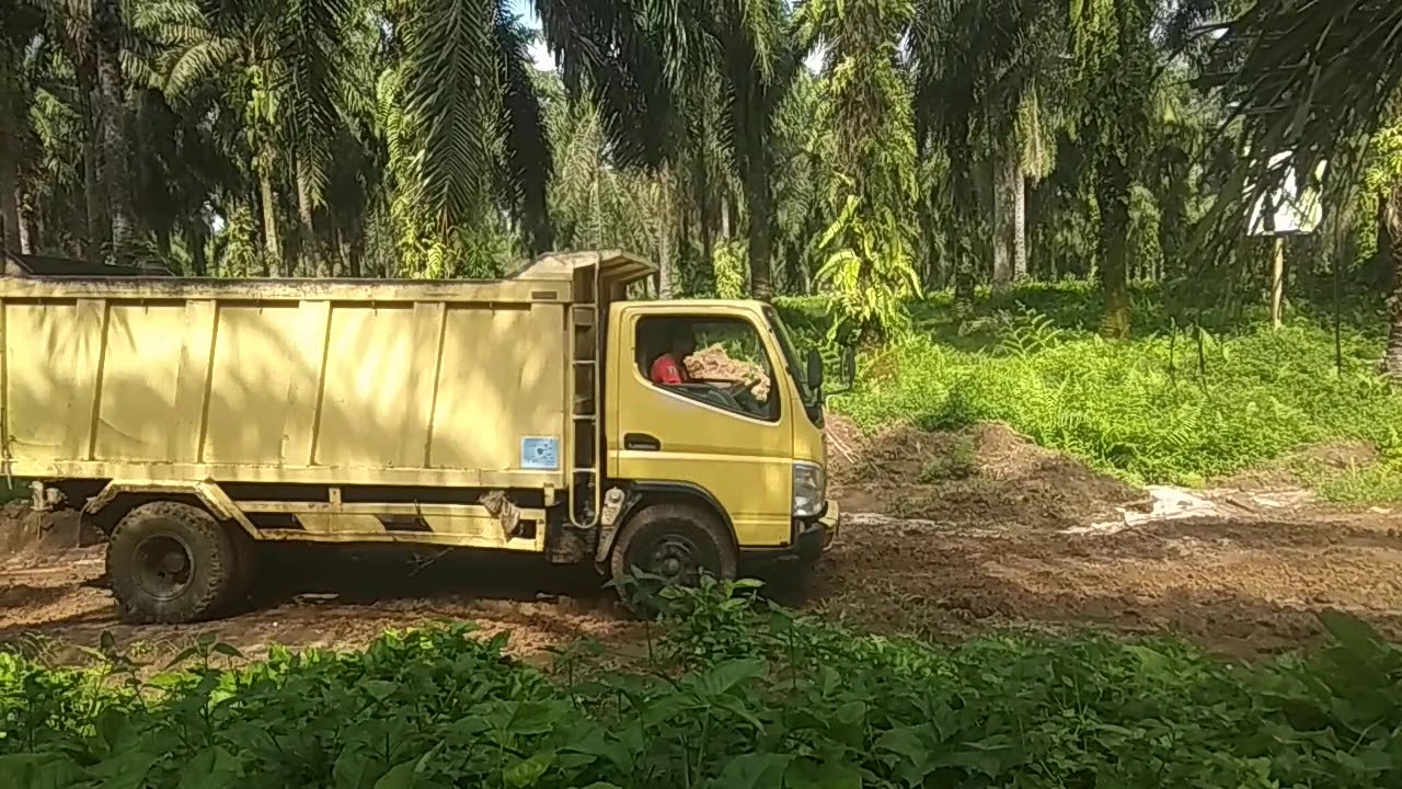 Mobil truk sawit - YouTube