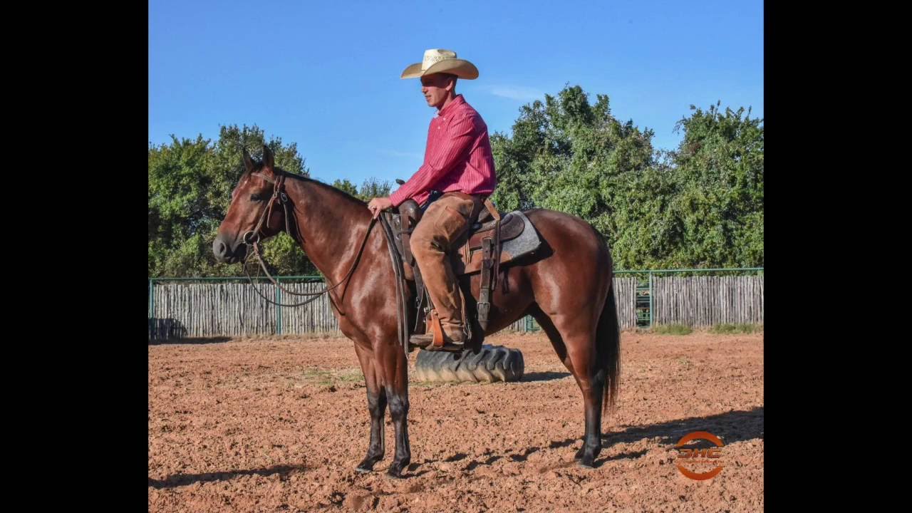 Redneck Creyzy 2014 Gelding by Dual Rey at Skip Queen Cutting Horses ...