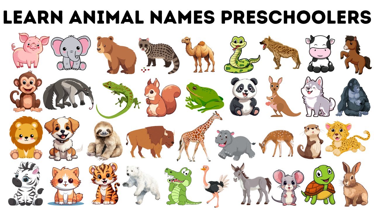 Learn Animal Names Preschoolers | Learning Videos for Kids and Toddlers ...