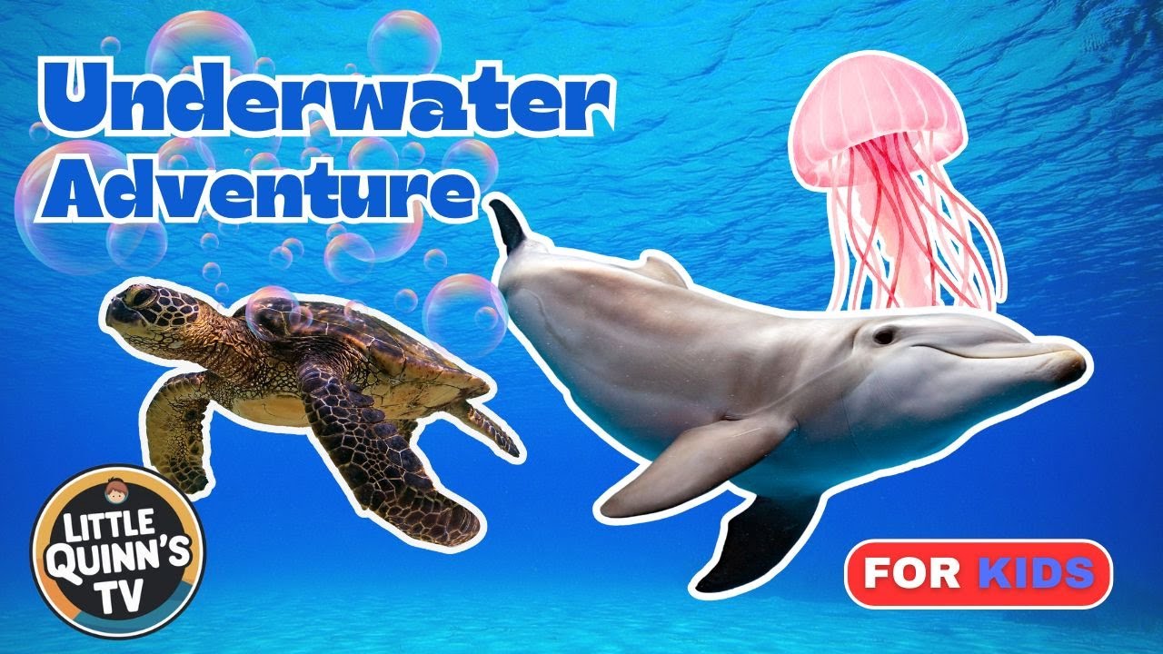 Underwater Adventure: Exploring the Sea | Fun Ocean Animals for Kids ...