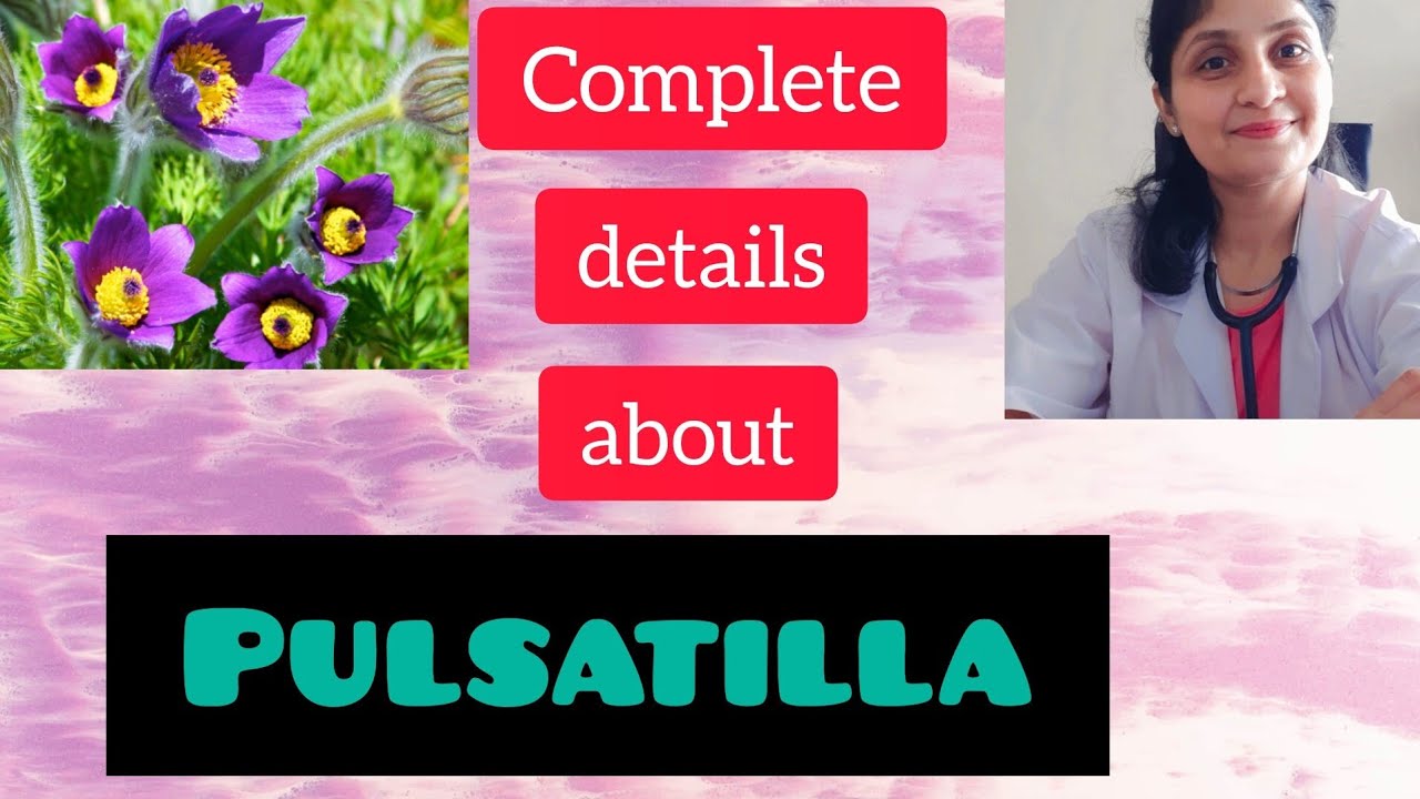 Homeopathy | Pulsatilla | Keynotes | Personality | Rubrics | Remedy ...
