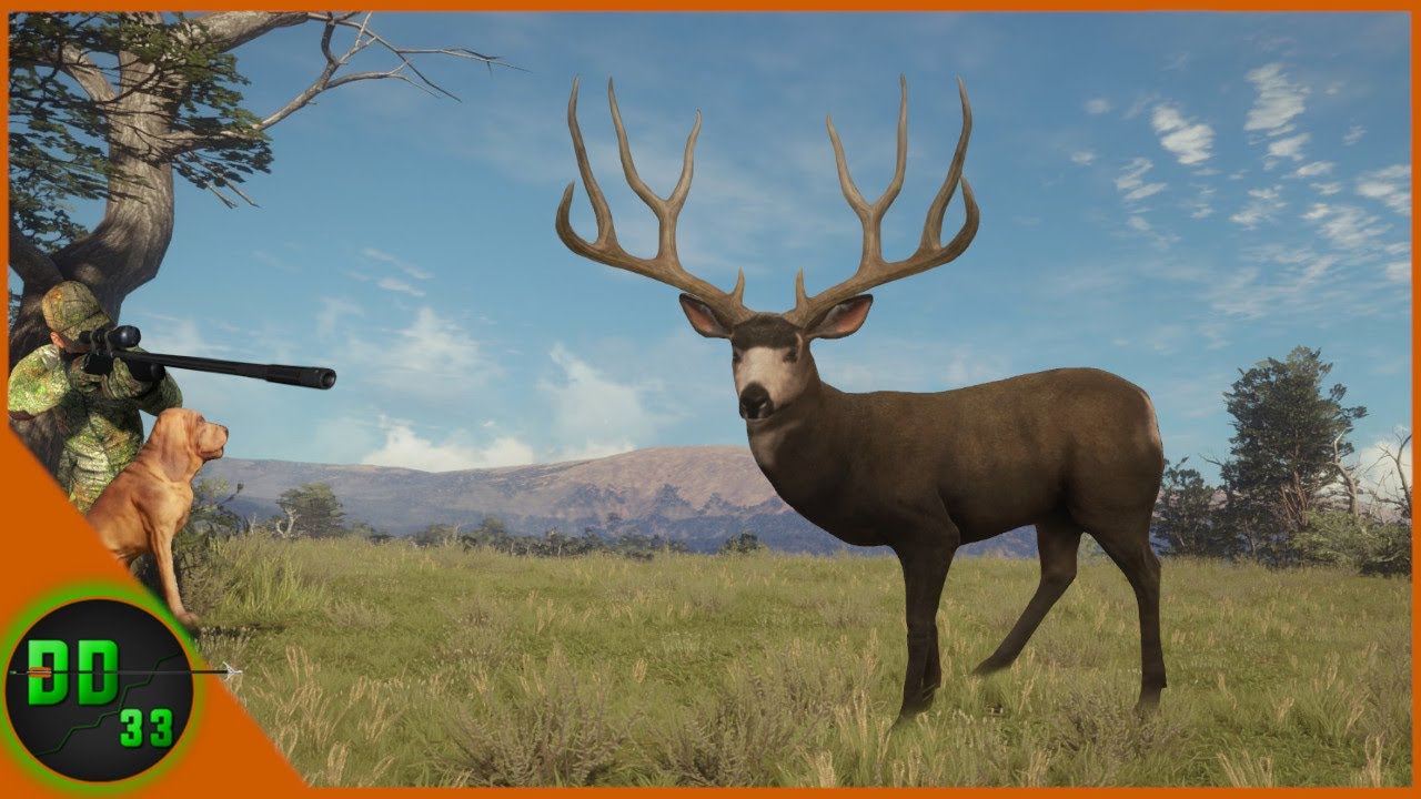 You Only Get One Shot! Call Of The Wild - YouTube