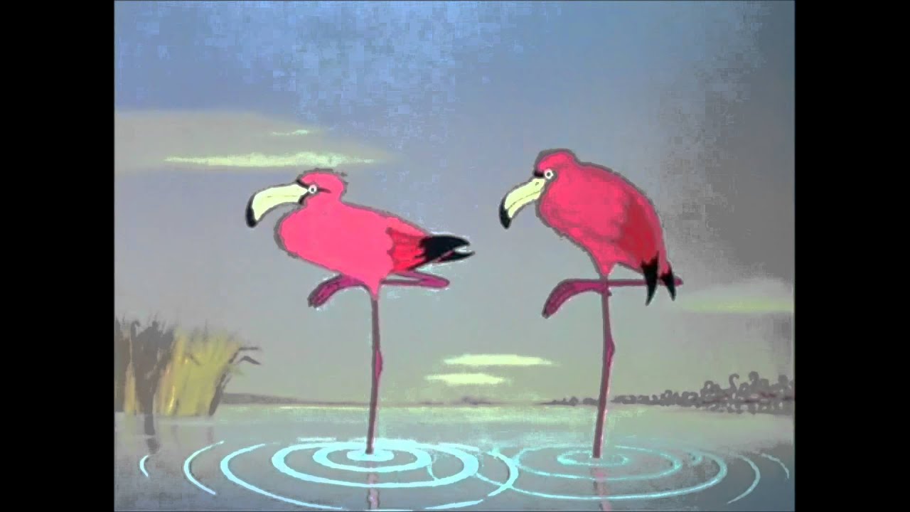 Donald Flamingo - YouTube