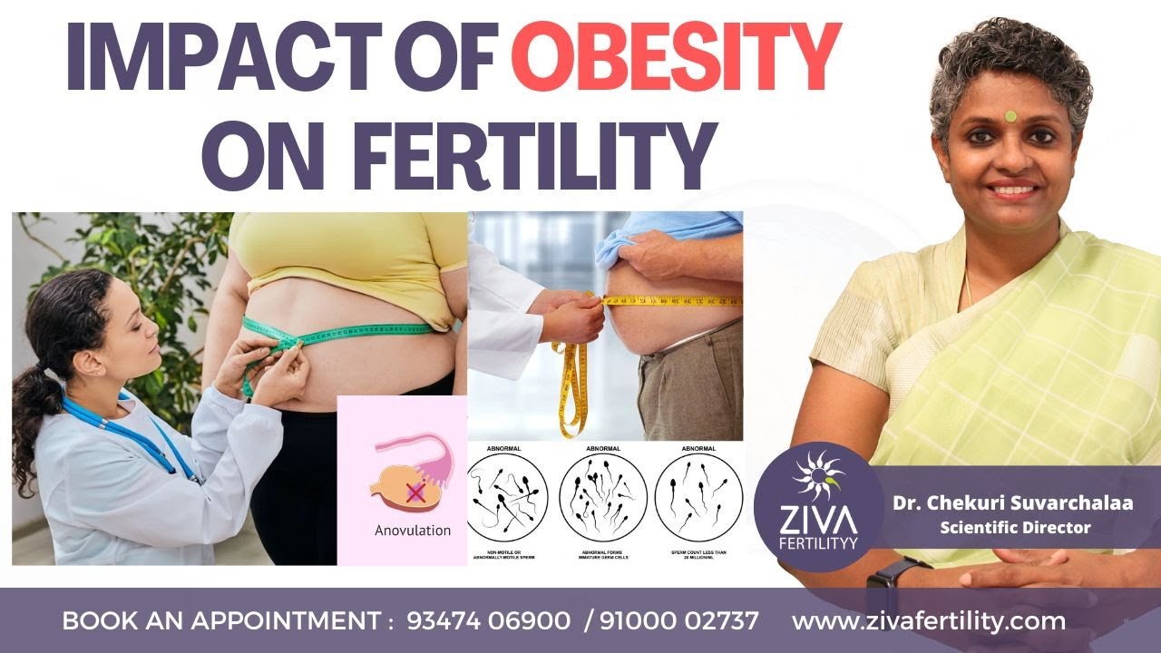 Impact Of Obesity On Fertility || High BMI || Infertility || Dr C ...