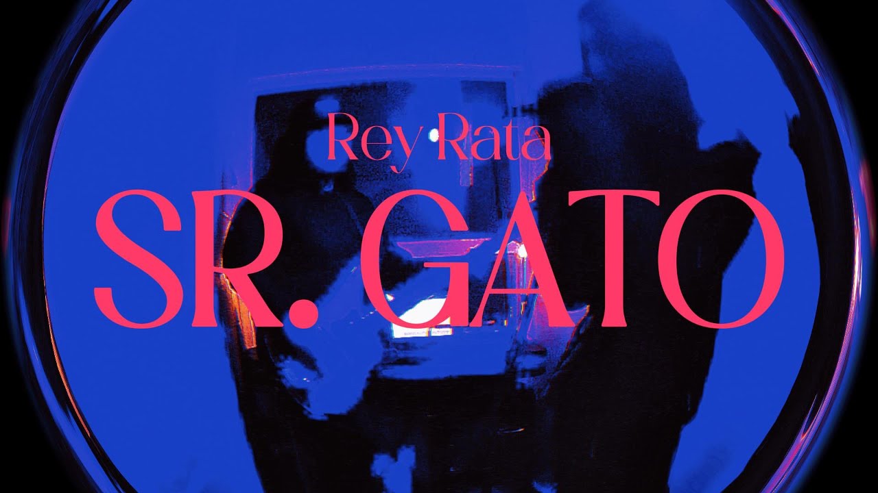 Rey Rata - Sr. Gato live session en el pasillo de la muerte (2024 ...