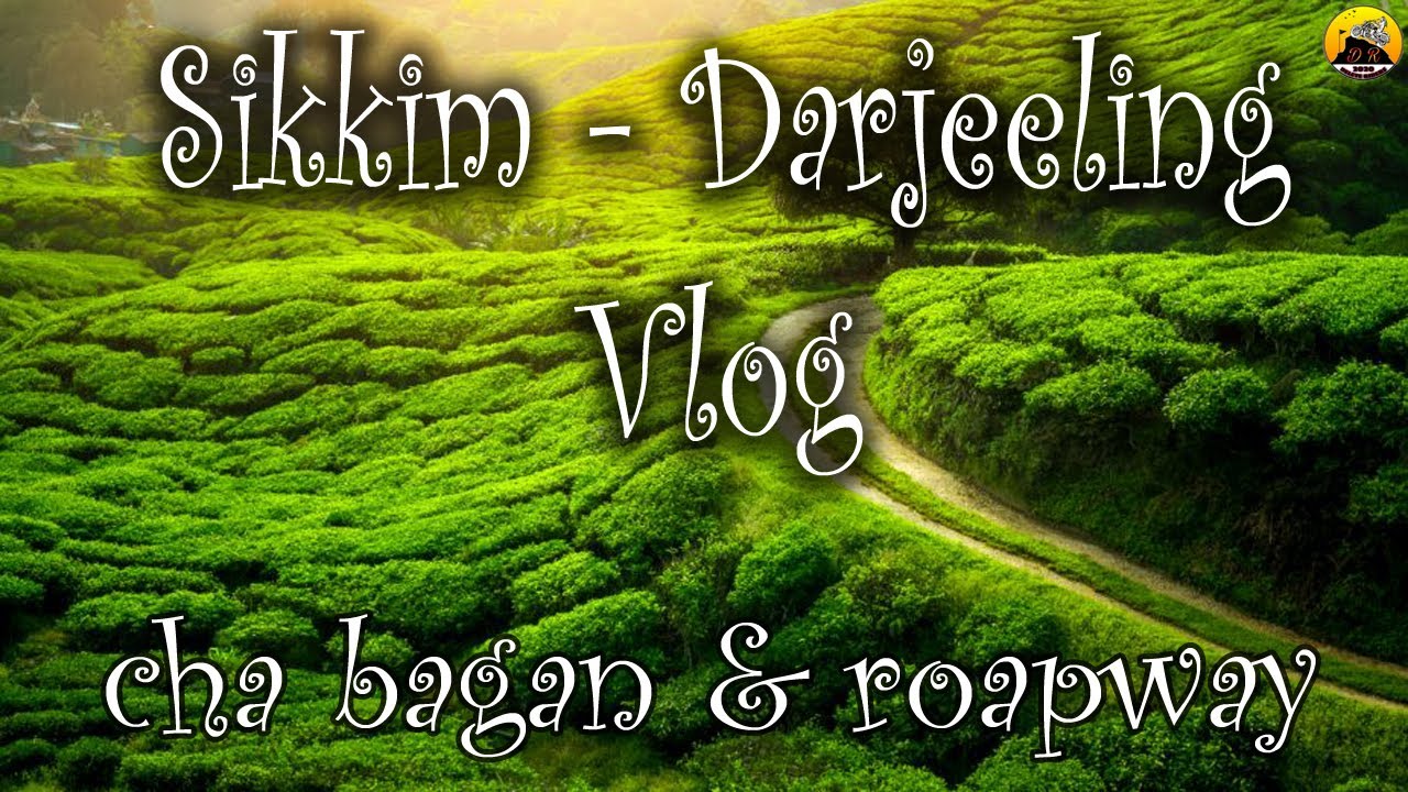 Sikkim - Darjeeling Vlog (Part-13) cha bagan & roapway (Shift Riders ...