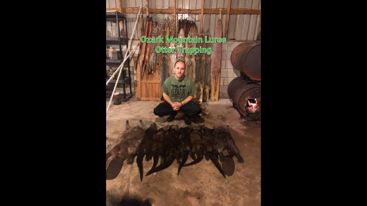 Otter Trapping on the bottom edge - YouTube