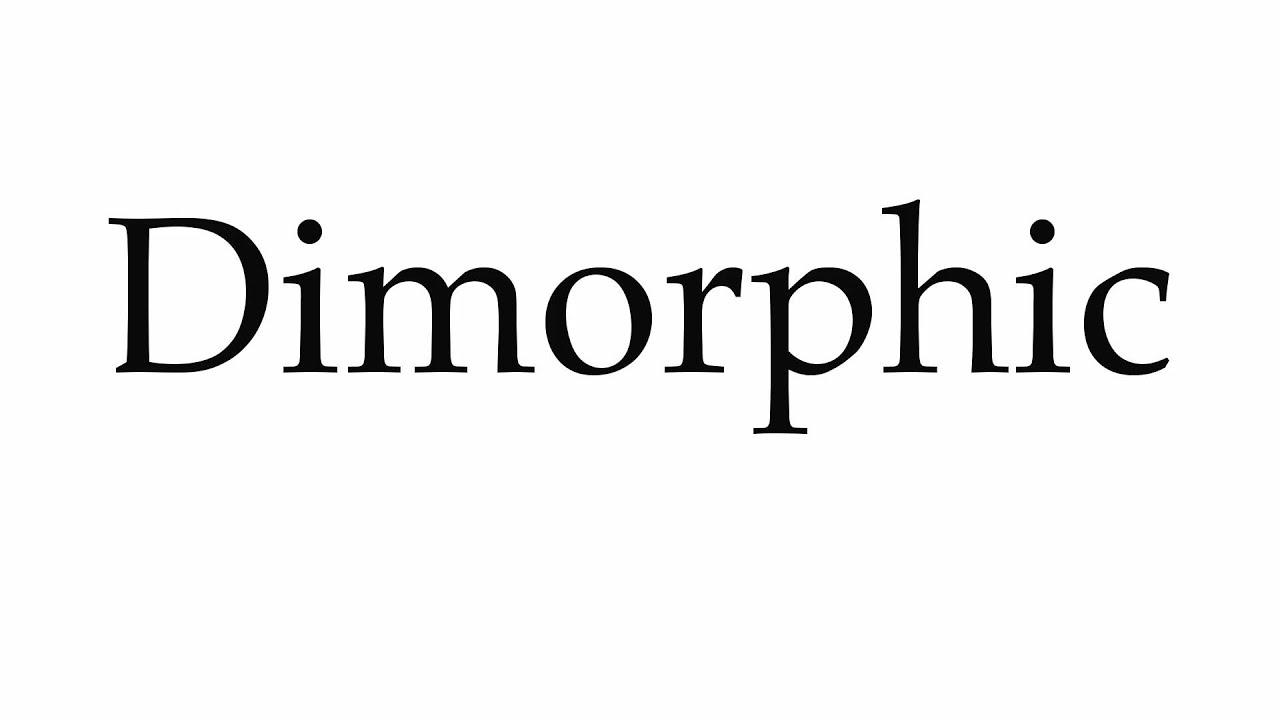 How to Pronounce Dimorphic - YouTube
