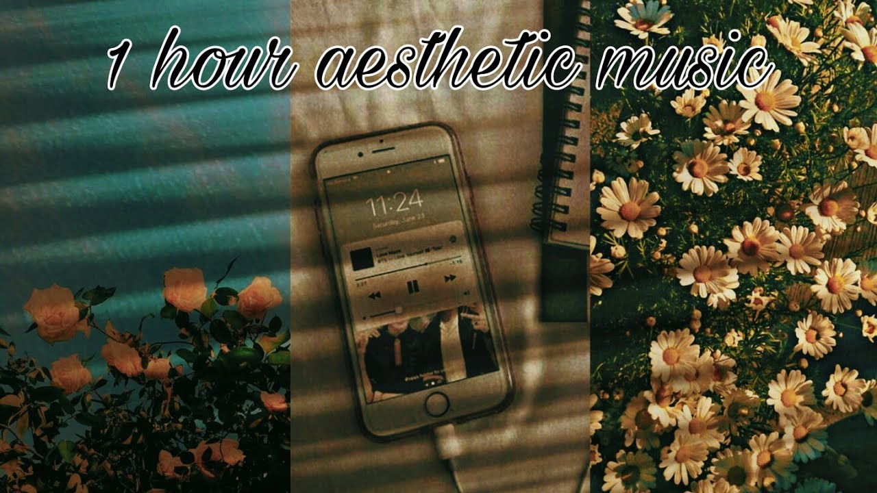 Aesthetic Music || 1 hour of Aesthetic Music || Relaxing Music - YouTube