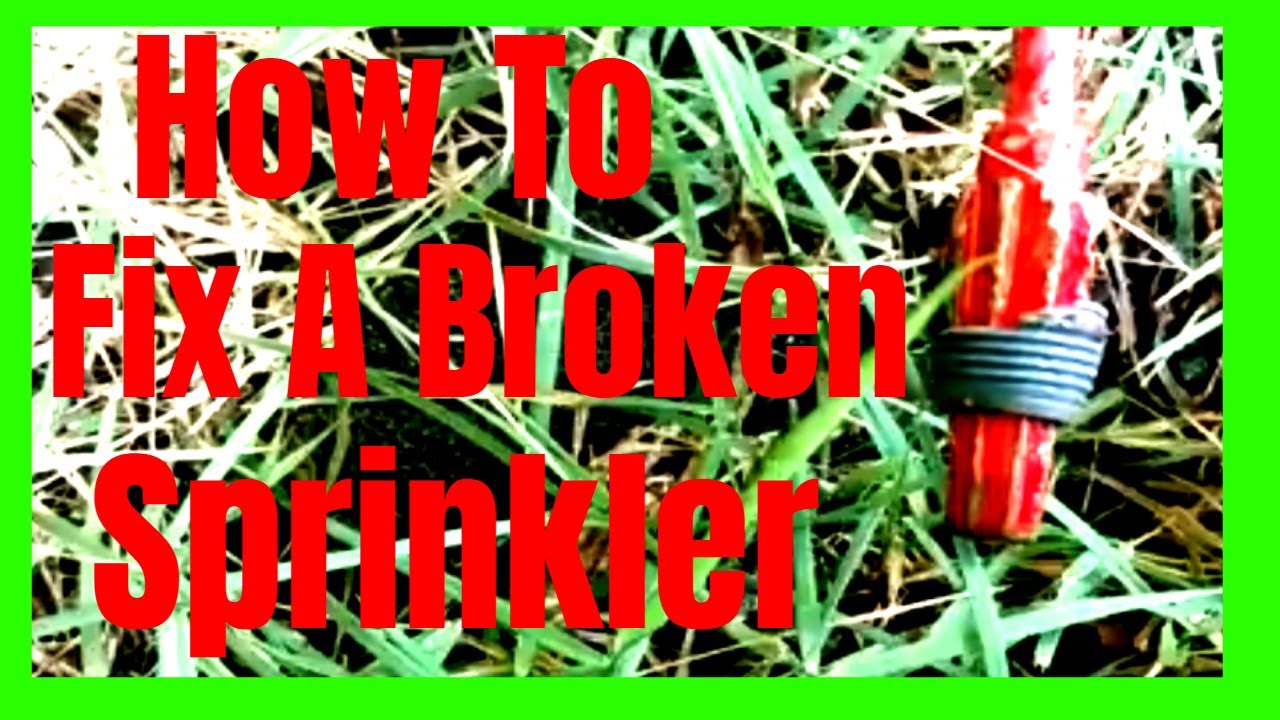 How To Find And Repair A Broken Sprinkler - YouTube