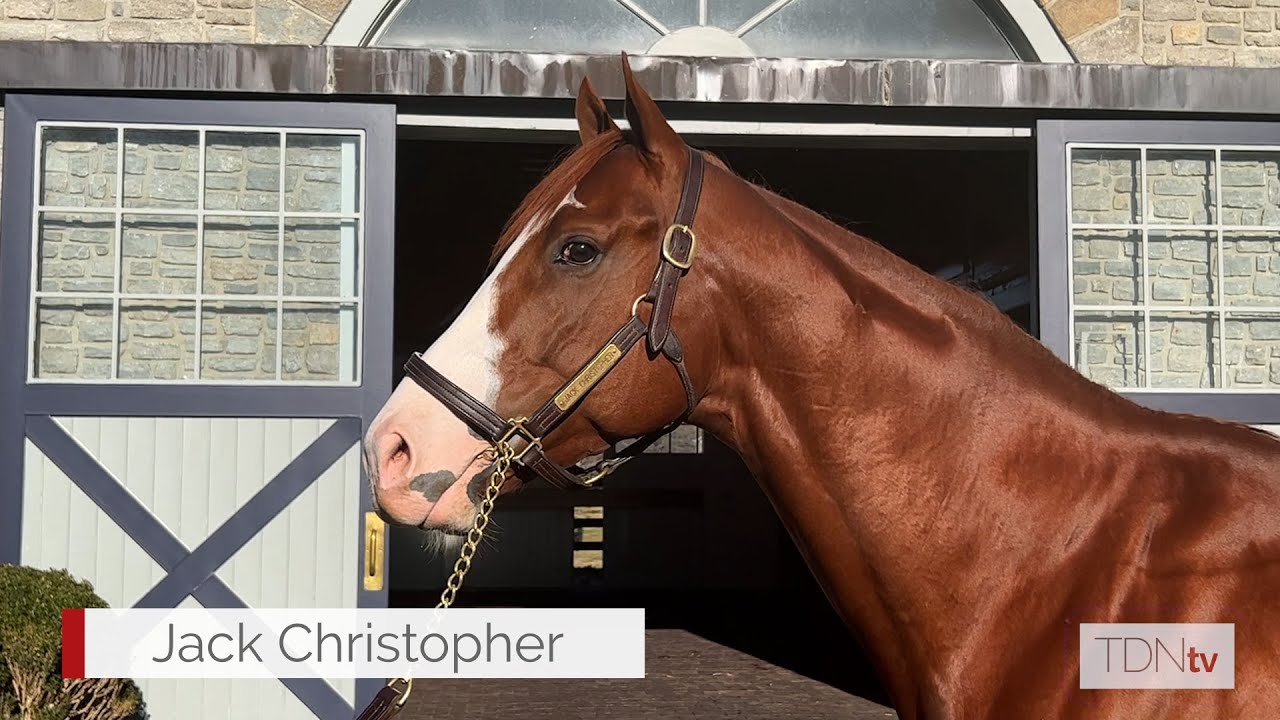 From Stallion Families, Jack Christopher and Early Voting New to Ashford Stud - YouTube