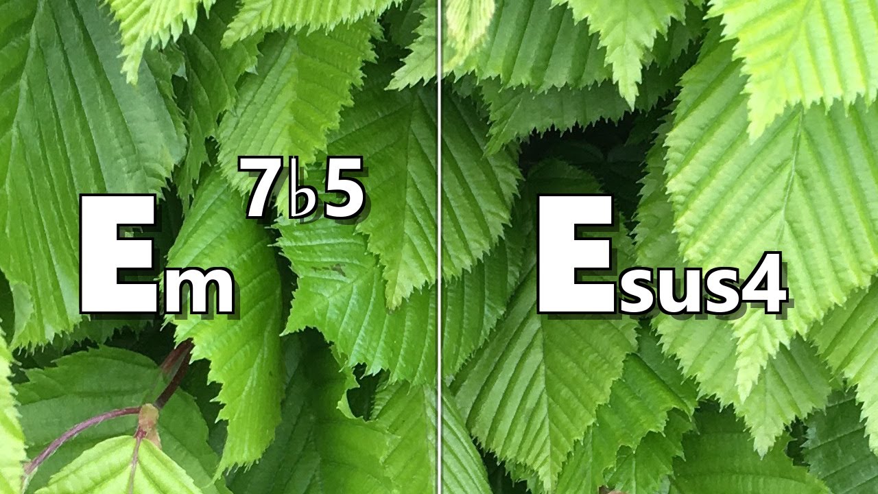 Em7b5 to Esus4 Backing Track - YouTube
