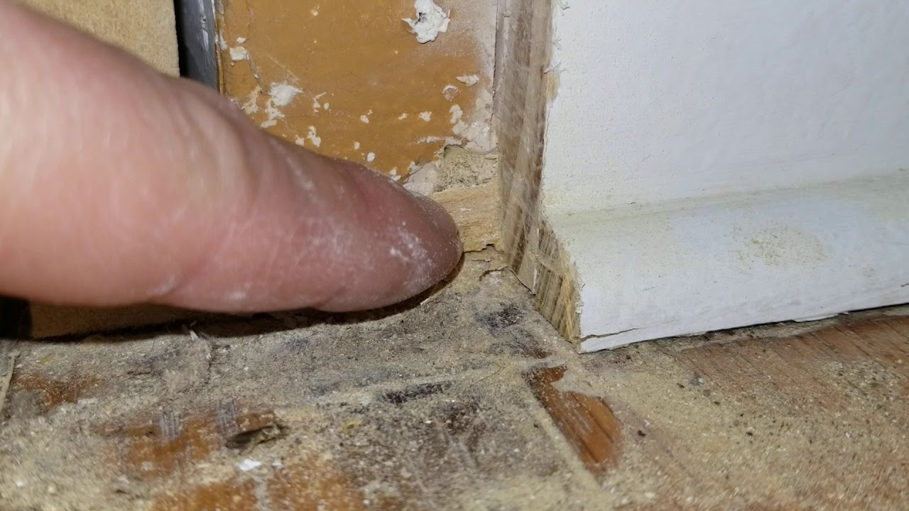 How to do a cased opening part 2 - YouTube