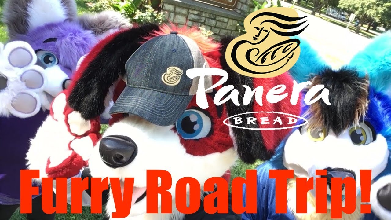 Beagle's Road Trip Ep. 2 - Panera Dogs - YouTube
