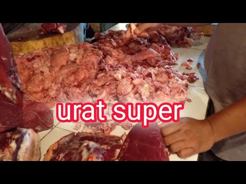 super beef tendon ‼️ URAT SAPI SUPER - YouTube