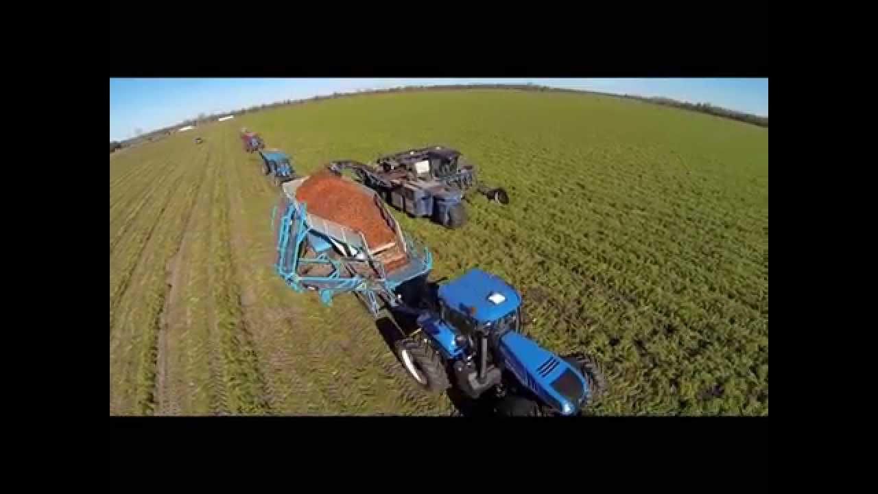 Drone footage of the Crop Shuttle in Carrot Harvest - YouTube