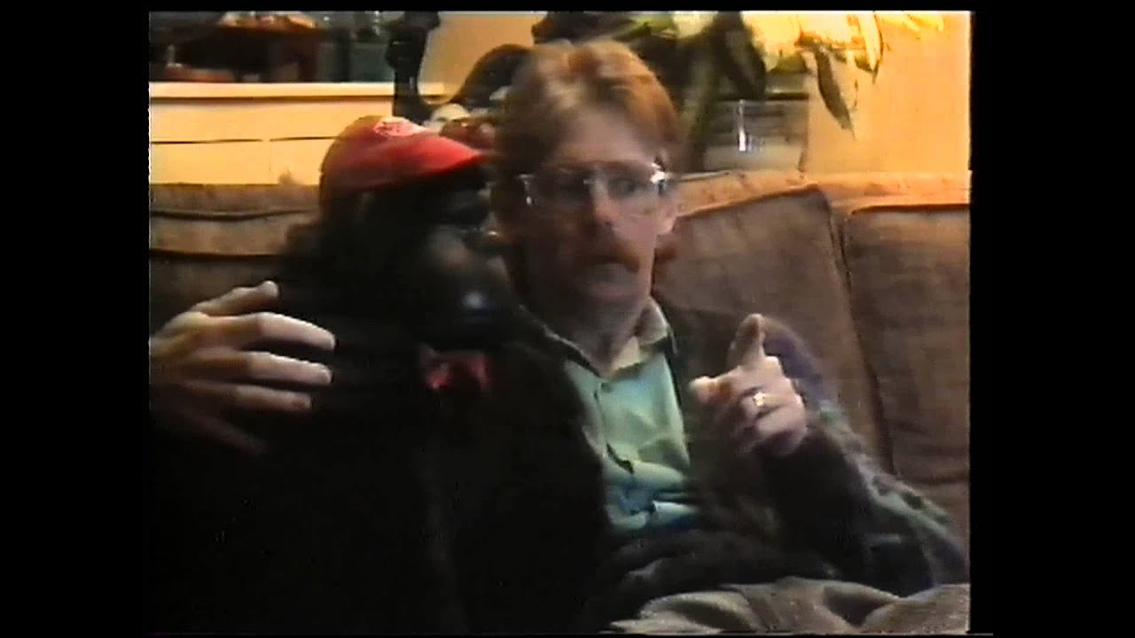 Magical Murphy - YouTube