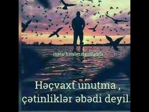 2019 yeni dost video