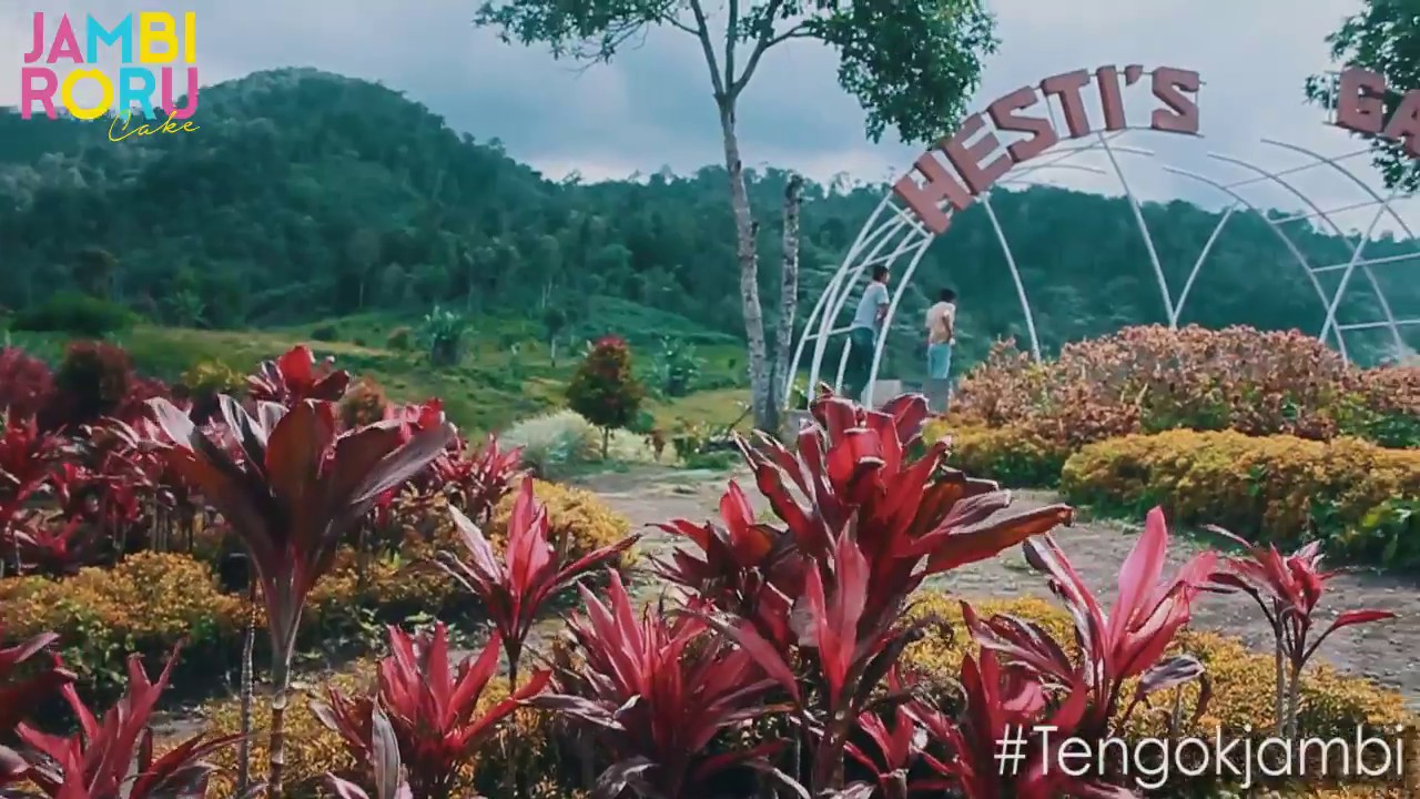Hesti's Garden, Merangin, Jambi #TengokJambi - YouTube