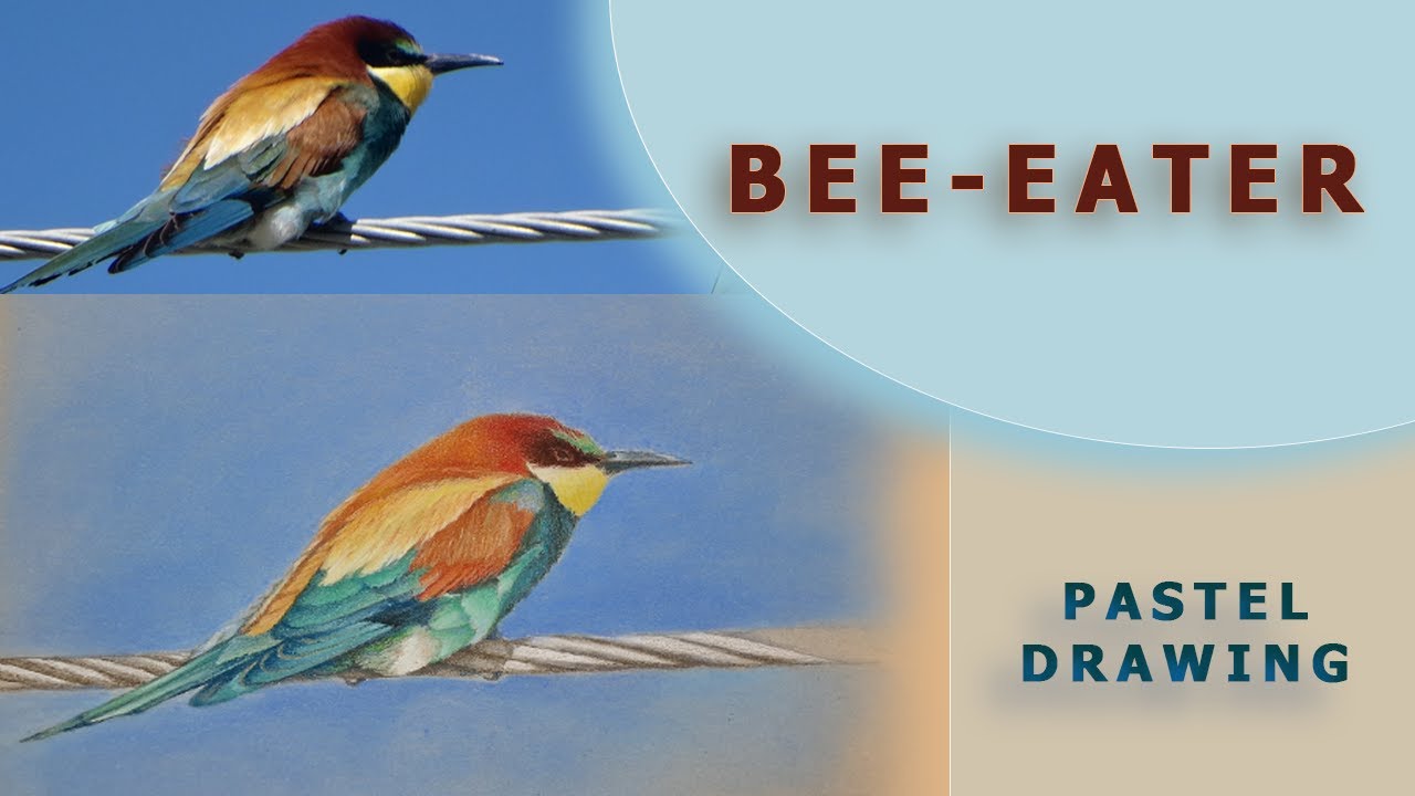 Relaxing Pastel Drawing Bird- Realistic Drawing – Bee-eater / Desen ...