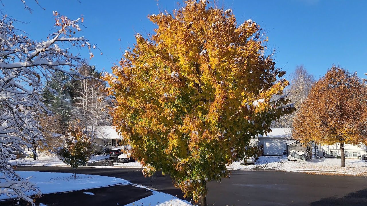 First Snowfall of 2023! - YouTube