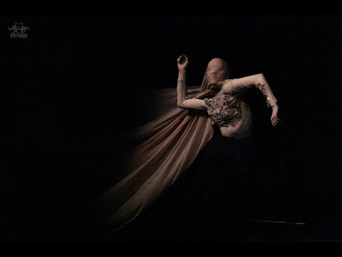 INTEGRAL SILENCE | ARINA YAKOVLEVA | J-TEAM FEST 2024 | ANIMALIA SHOW