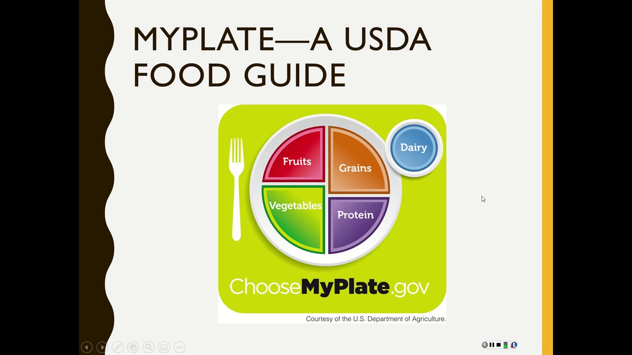 Nutrition Basics Lesson 1b - YouTube