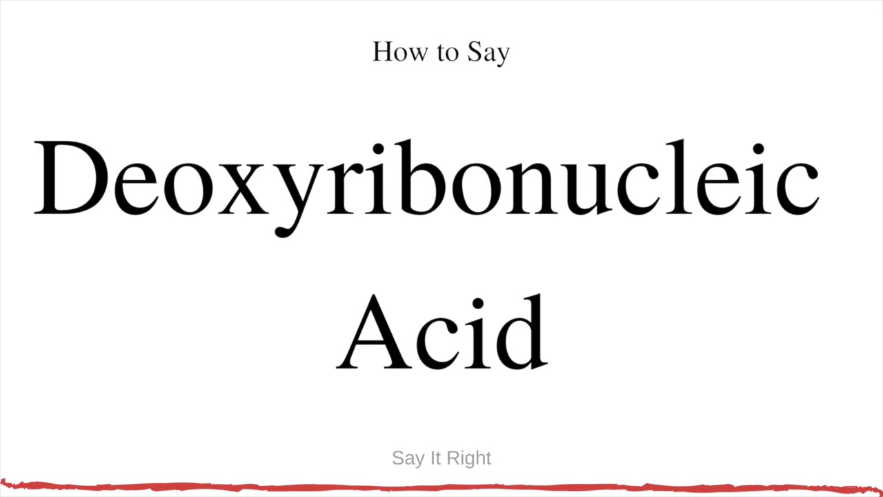 How to Say DNA | Pronounce the Word "DNA" Properly - YouTube