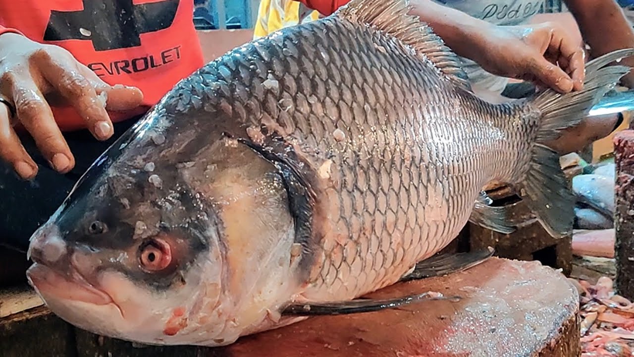 Amazing Cutting Skills | Giant Katla Fish Skinning & Chopping In Fish ...